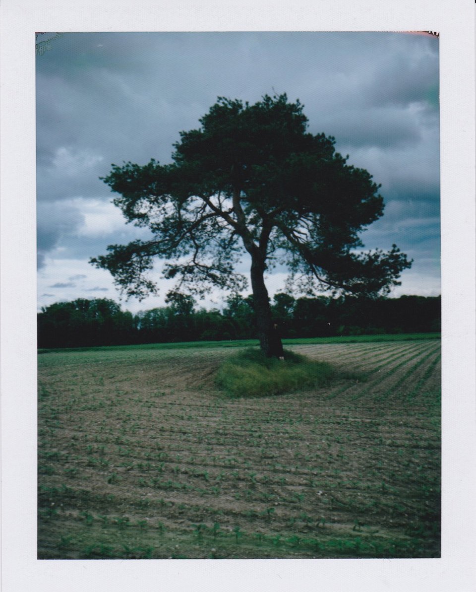 THE POLAROID PROJECT DOCUMENTED BY STEFAN ARMBRUSTER